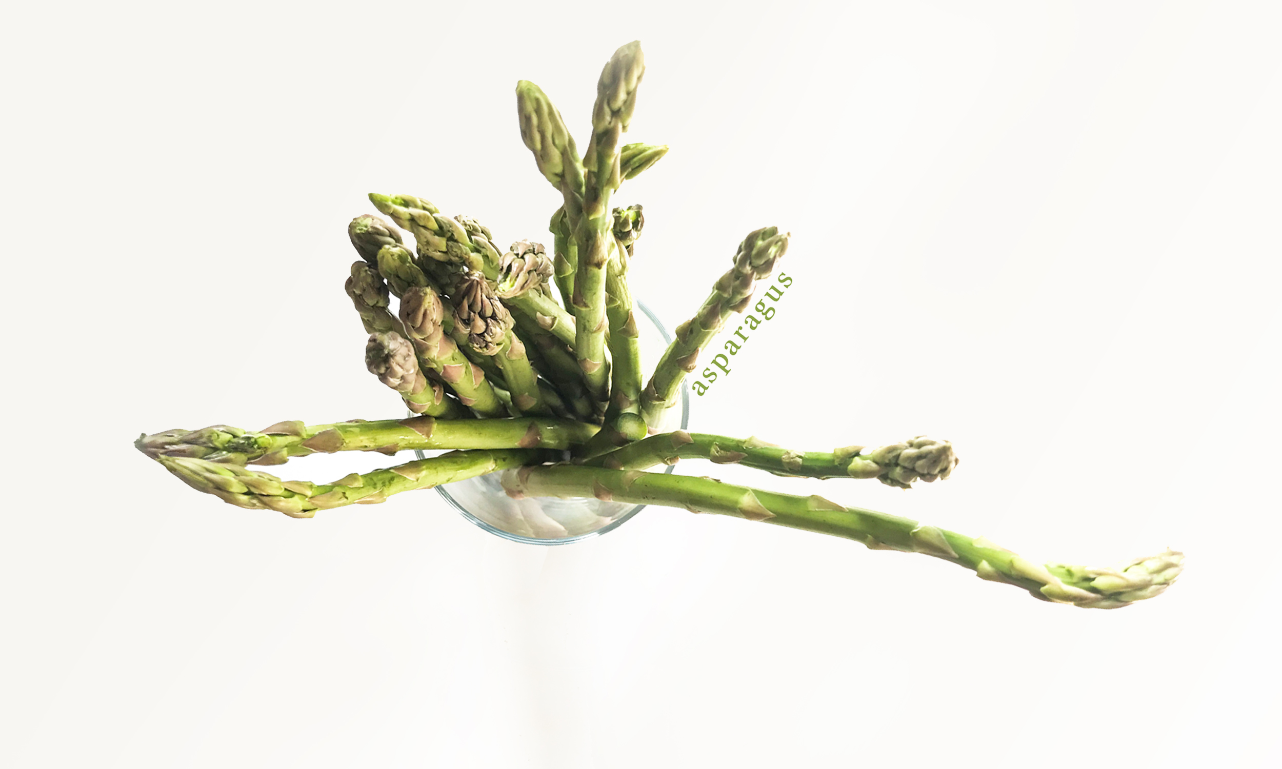 Special Primavera Sandwich – Vitamins Lady